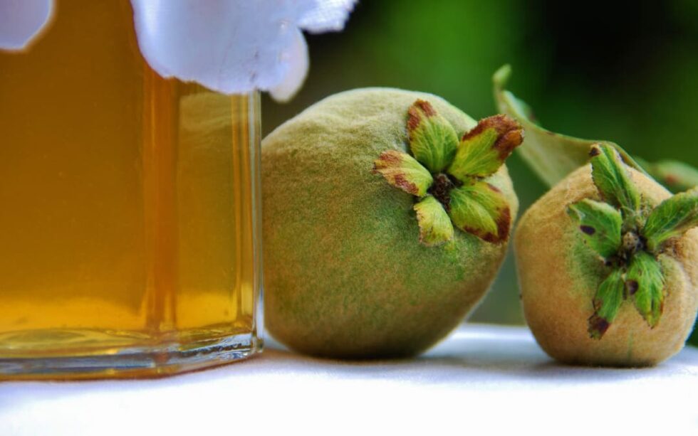 Marmellata di mele cotogne con vino - Cantine di Dolianova