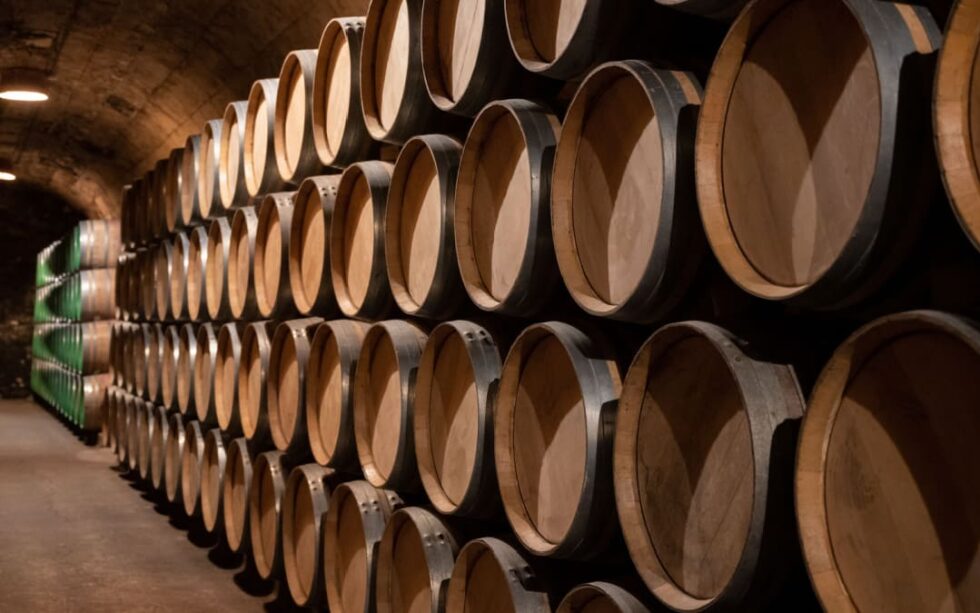 Cos'è l'OCM vino e a cosa serve? - Cantine di Dolianova