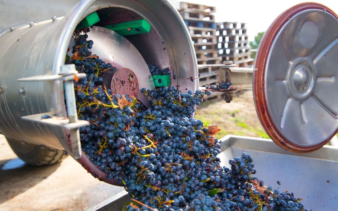 Come si chiama la macchina per pigiare l'uva? - Cantine di Dolianova