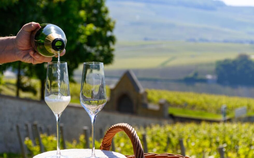 Vino cuvée: significato e utilizzo - Cantine di Dolianova